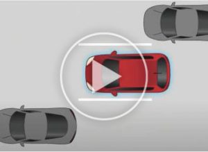 Learner Permit - Zero Fatalities