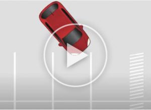 Learner Permit - Zero Fatalities